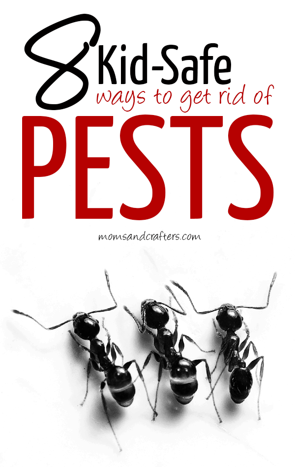 8 Kid Safe Pest Control Solutions * Moms and Crafters