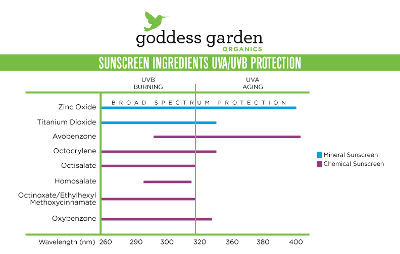 Staying Safe in the Sun * Moms and Crafters