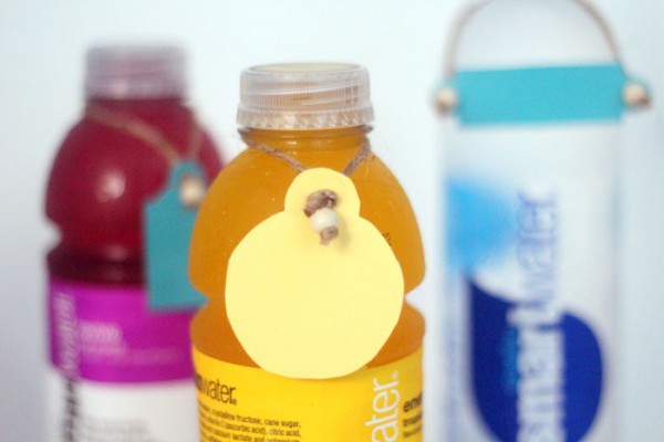 DIY Water Bottle Hang Tags * Moms and Crafters