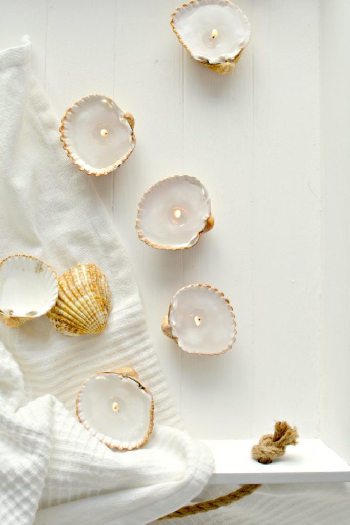 18 of the best Seashell Crafts * Moms and Crafters