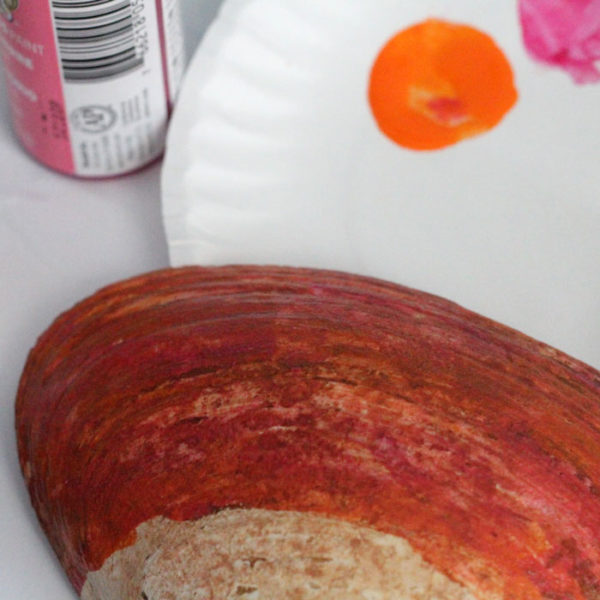 Painted Seashell Craft - sunset scenes * Moms and Crafters