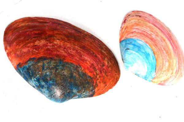 Painted Seashell Craft - sunset scenes * Moms and Crafters