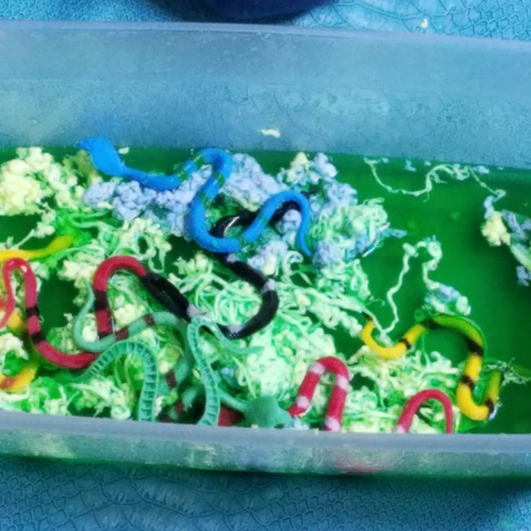 Snake Sensory Bin * Moms and Crafters