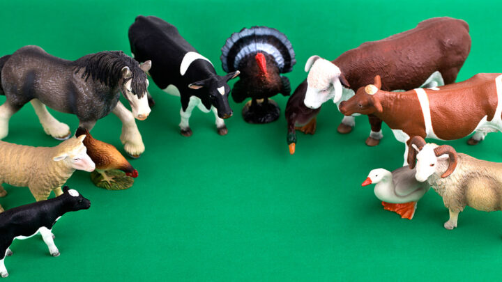 Things to make with Toy Animals that don't look cheap at all!