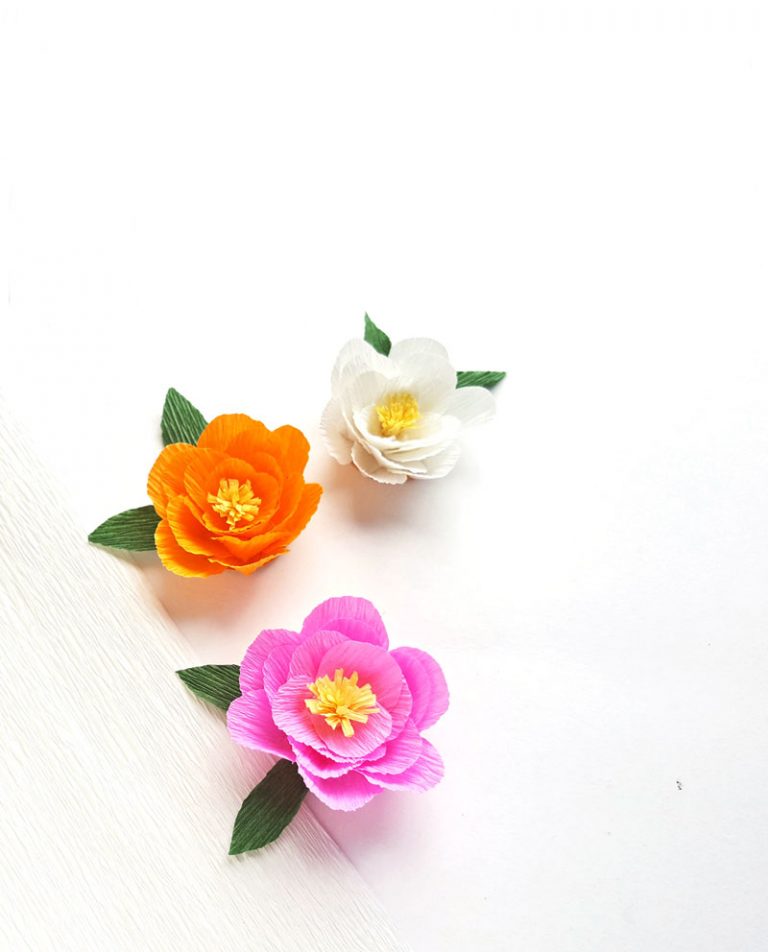 crepe-paper-peony-template-free-printable-moms-and-crafters