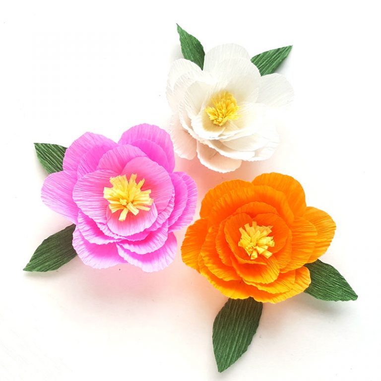 Crepe Paper Peony Template Free Printable Moms And Crafters