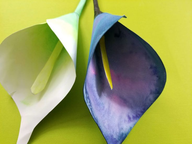 How to Make a Paper Calla Lily - Watercolor Paper Flowers