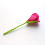 Paper Crocus Flowers with a free printable template, of course!