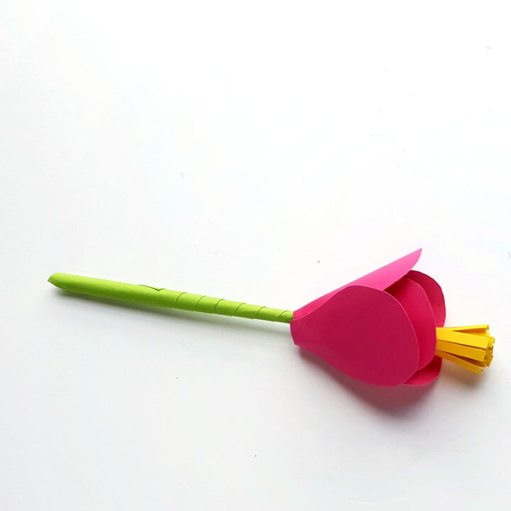 Paper Crocus Flowers with a free printable template, of course!