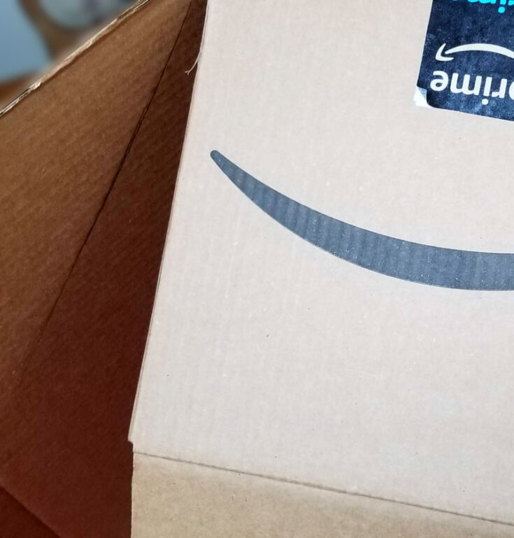 DIY Shark Costume - Upcycled Cardboard Box No-Sew Costume