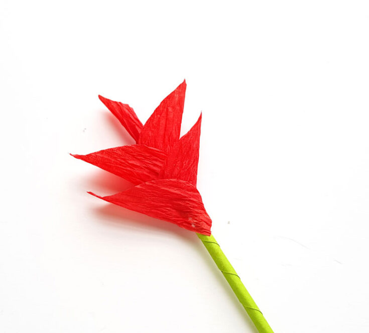 Ginger Flower Craft from Crepe Paper! * Moms and Crafters