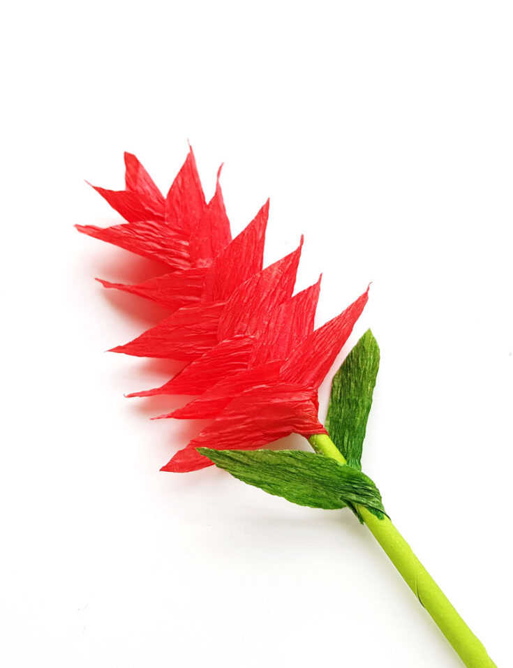 Ginger Flower Craft from Crepe Paper! * Moms and Crafters