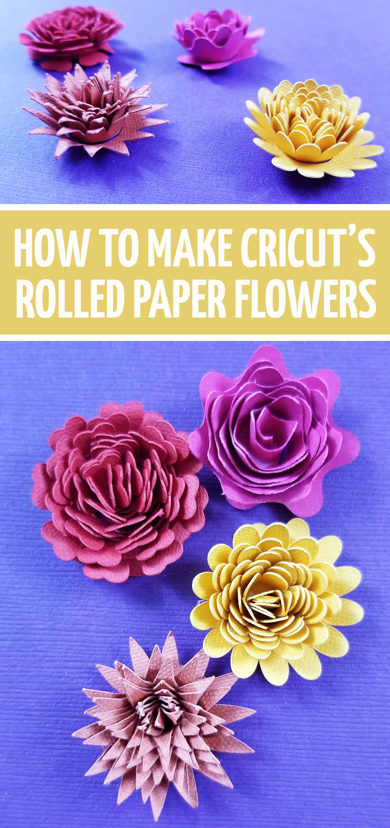 How To Make Paper Flowers With Cricut Moms And Crafters How To Make Paper Flowers With Cricut Moms And Crafters