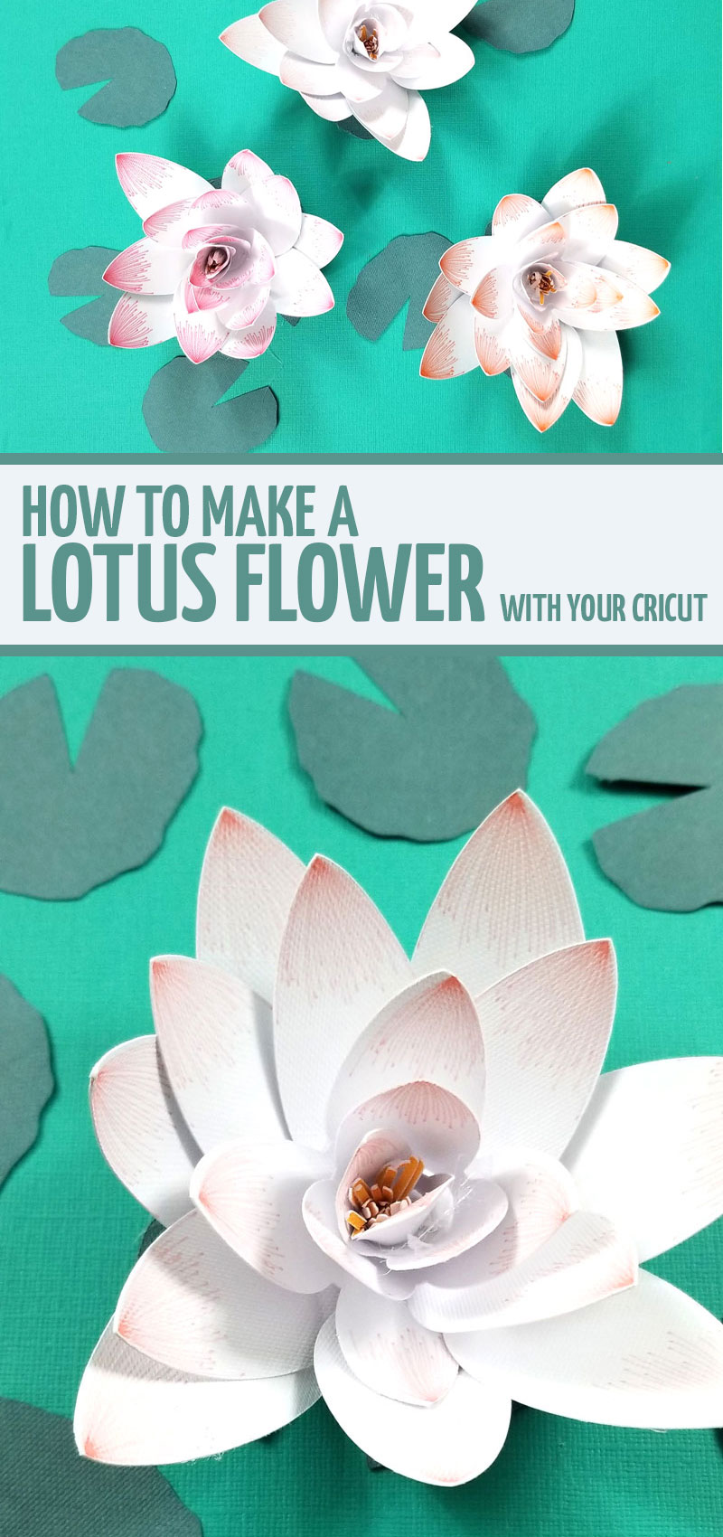 How to make paper flowers with Cricut * Moms and Crafters
