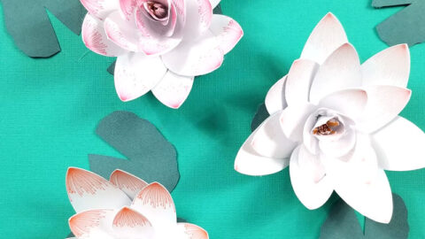 How to make paper flowers with Cricut * Moms and Crafters