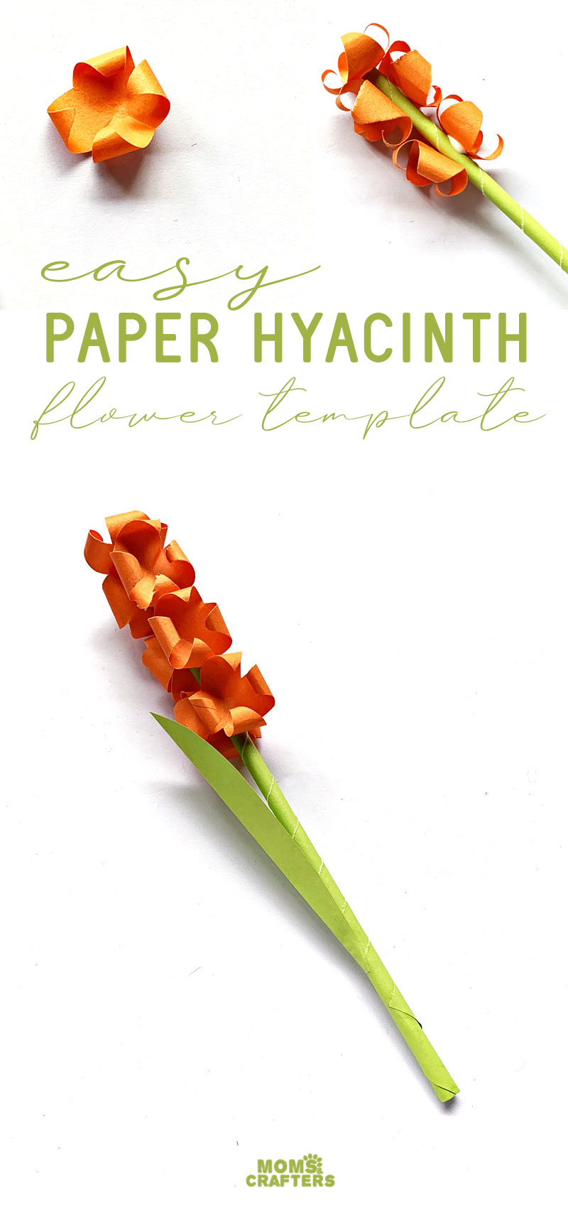 Paper Hyacinth Flower - Free Template * Moms and Crafters