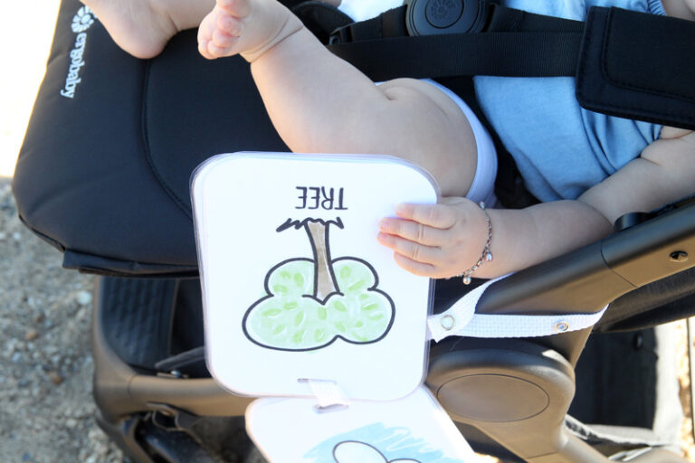 Stroller Cards - Free Printable and Travel Tips for Moms