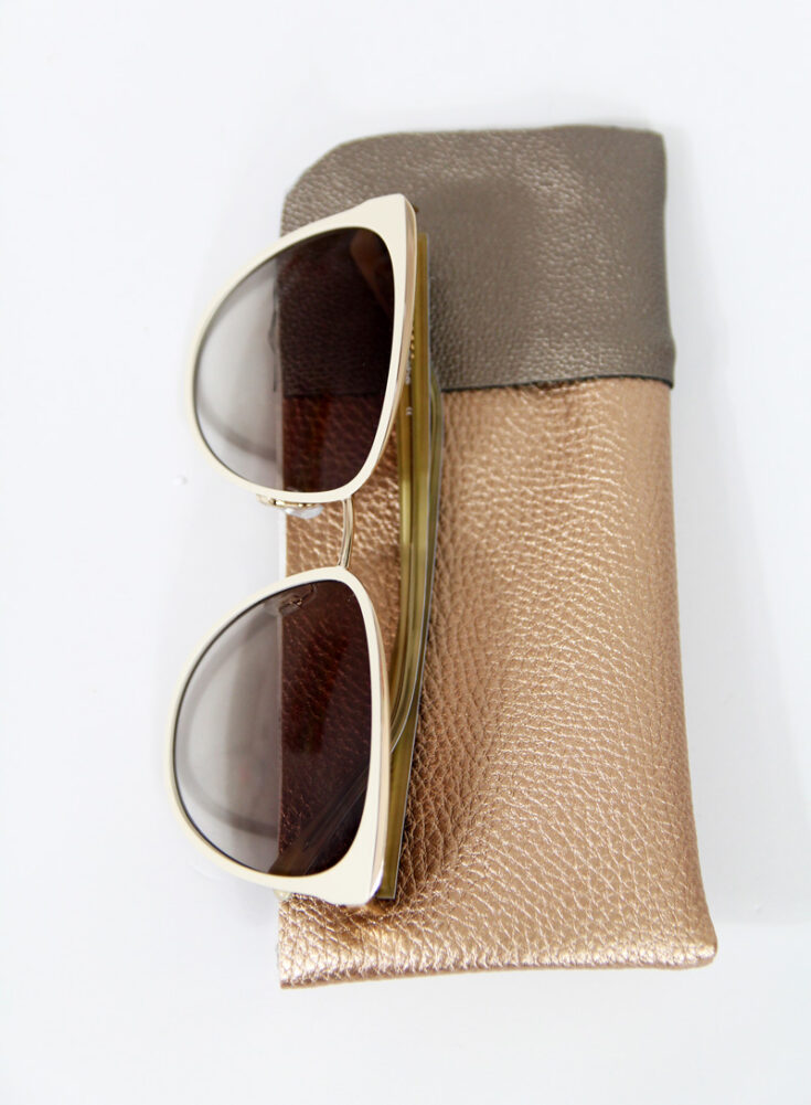 DIY Glasses Case with a Free Template * Moms and Crafters