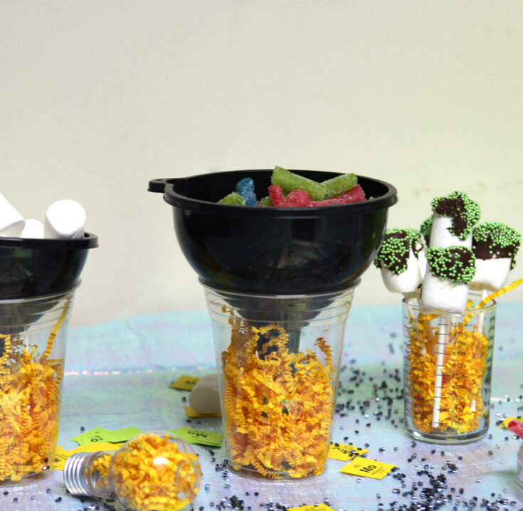 Science Birthday Party - A Fun STEM-y Celebration! * Moms and Crafters