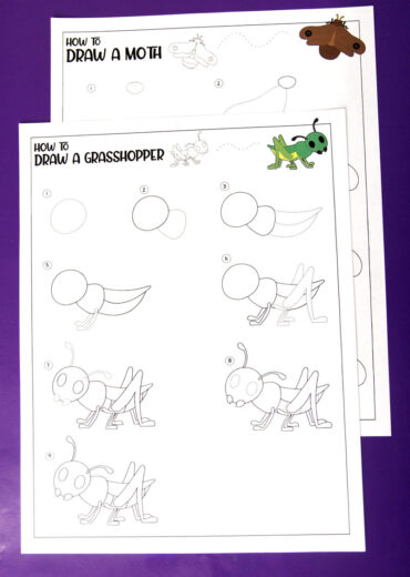 How to Draw Insects - Easy Step by Step Printable * Moms and Crafters