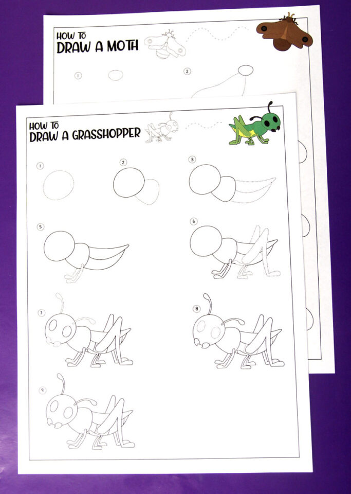 How to Draw Insects - Easy Step by Step Printable * Moms and Crafters