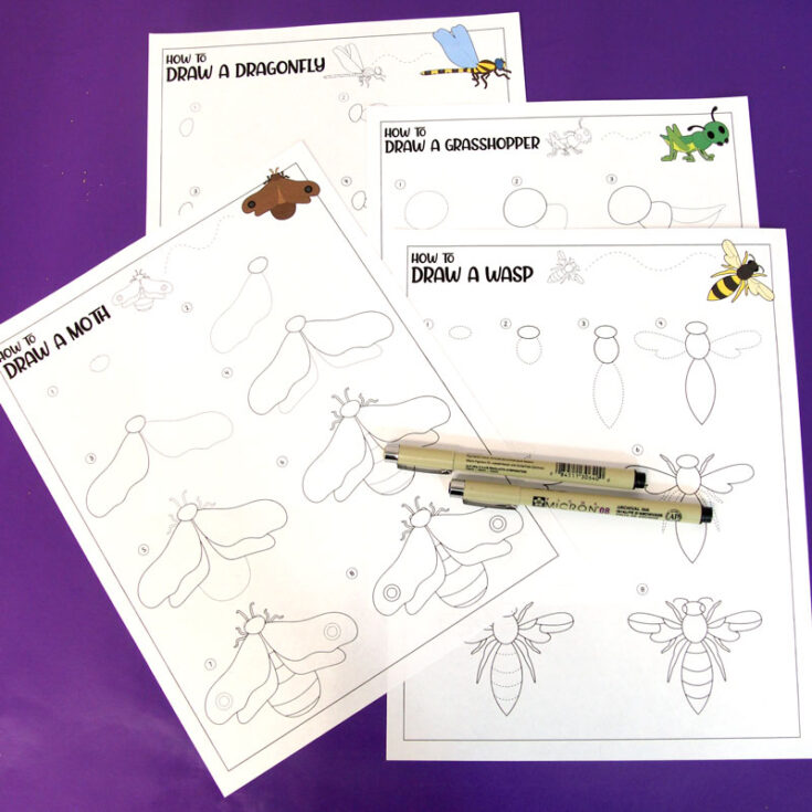 How to Draw Insects - Easy Step by Step Printable * Moms and Crafters