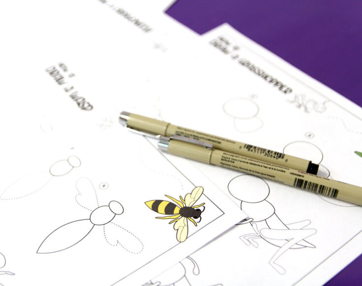 How to Draw Insects - Easy Step by Step Printable * Moms and Crafters