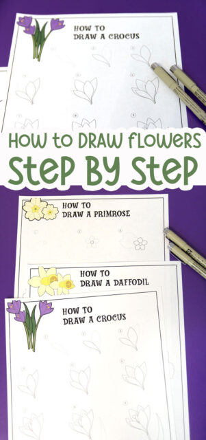 How to Draw a Step by Step Flower - Easy Guided Drawing