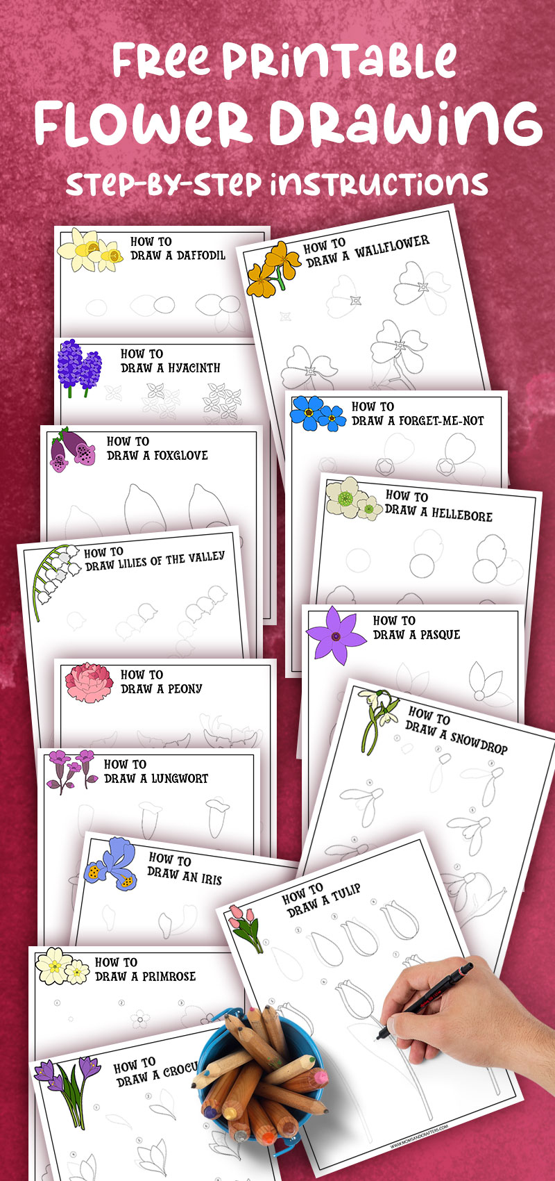 How to Draw a Step by Step Flower - Easy Guided Drawing