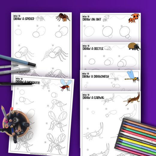 How to Draw Insects - Easy Step by Step Printable * Moms and Crafters