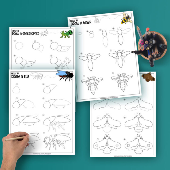 How to Draw Insects - Easy Step by Step Printable * Moms and Crafters