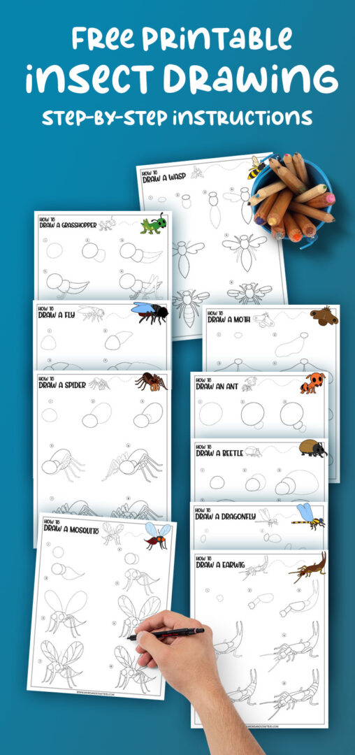 How to Draw Insects - Easy Step by Step Printable * Moms and Crafters