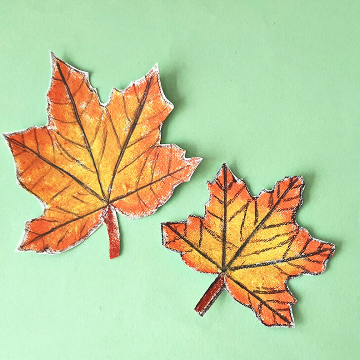How to Draw a Simple Maple Leaf * Moms and Crafters