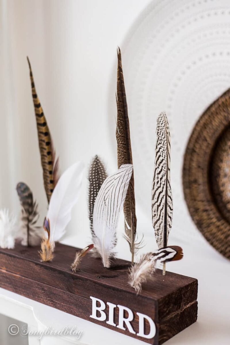 18+ Feather Crafts to Display, Wear, and Enjoy!