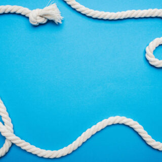 Crafts for Adults Archives * Moms and Crafters